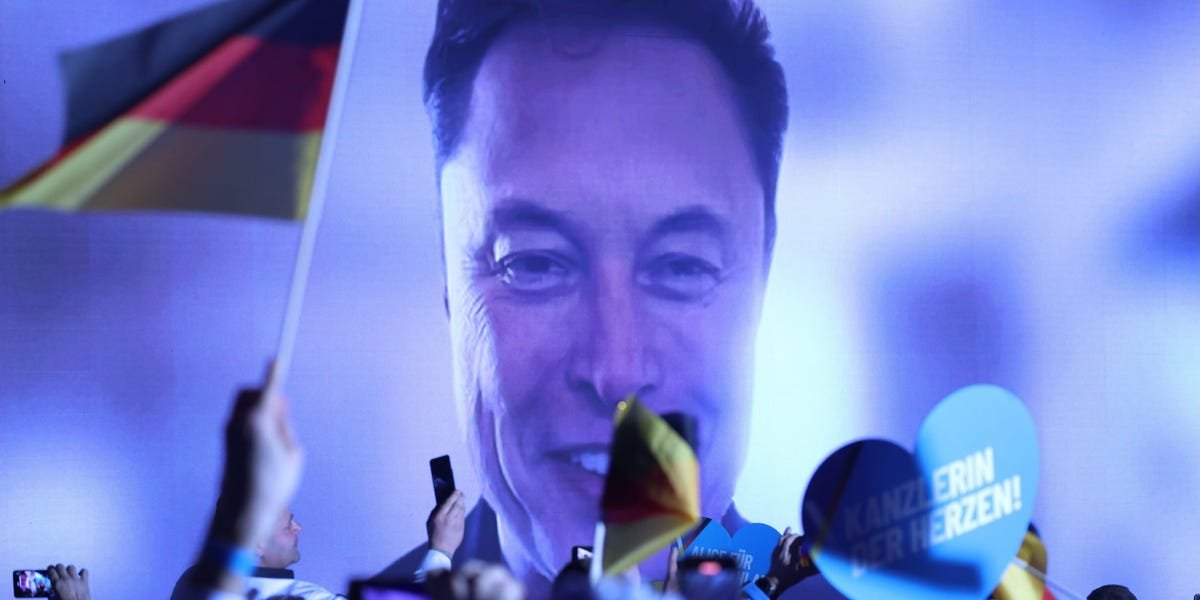 How Elon Musk Is Helping Germany’s Far-Right AfD Party Go Mainstream ...